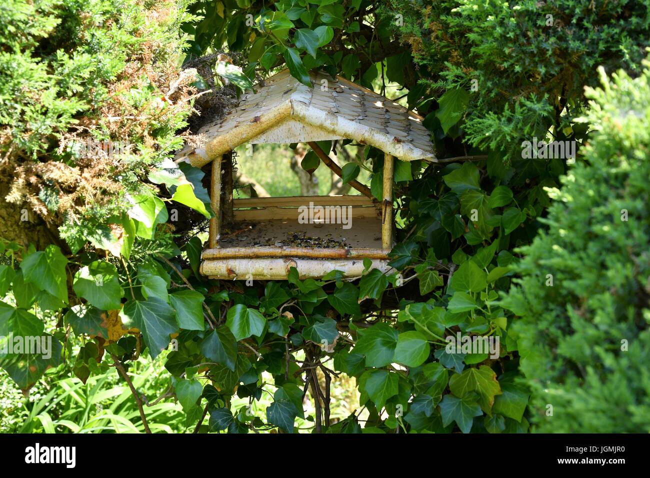 fodder rack for birds Stock Photo - Alamy