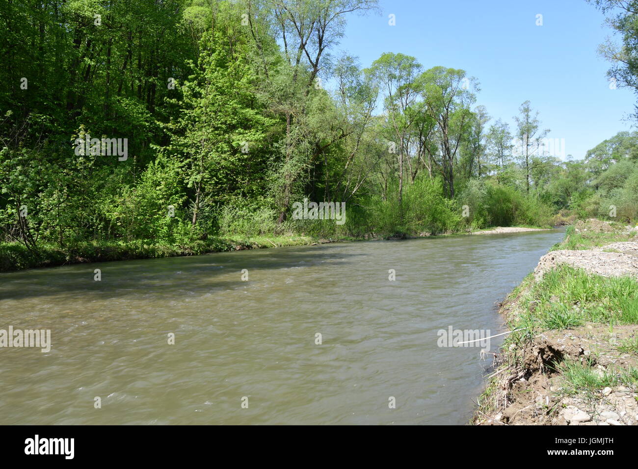 scenery of forest brooklet Stock Photo - Alamy