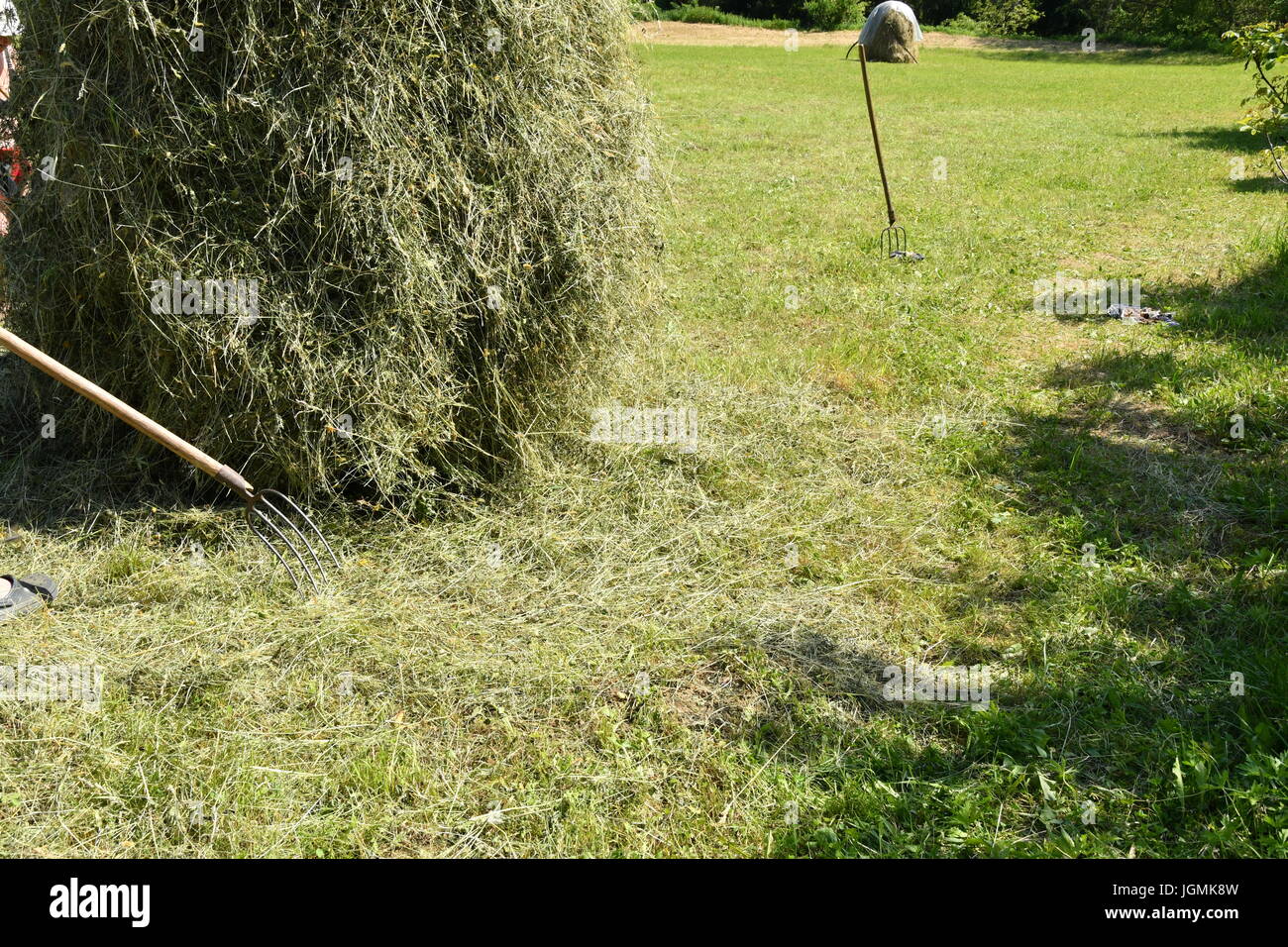 traditional way of hay stocked in the village Stock Photo - Alamy