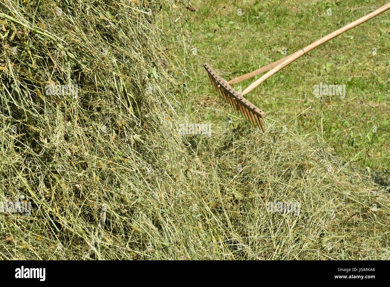 traditional way of hay stocked in the village Stock Photo - Alamy