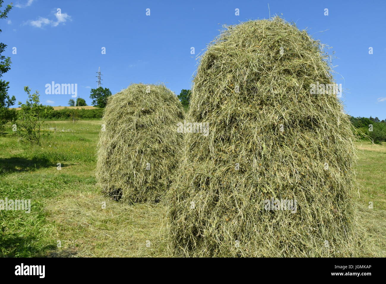 Boy running in hay hi-res stock photography and images - Alamy