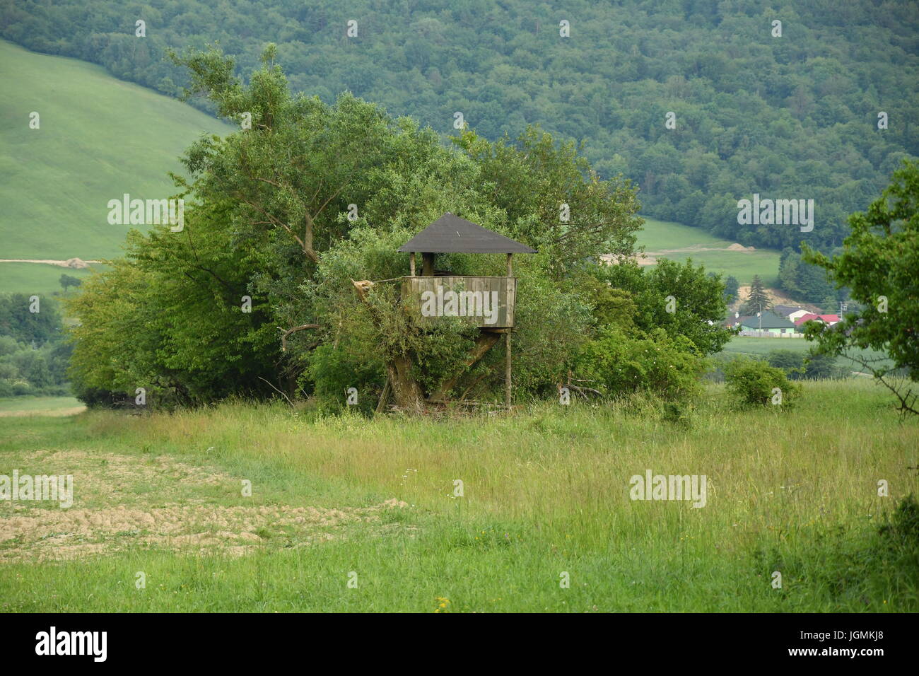 Fodder rack hi-res stock photography and images - Alamy