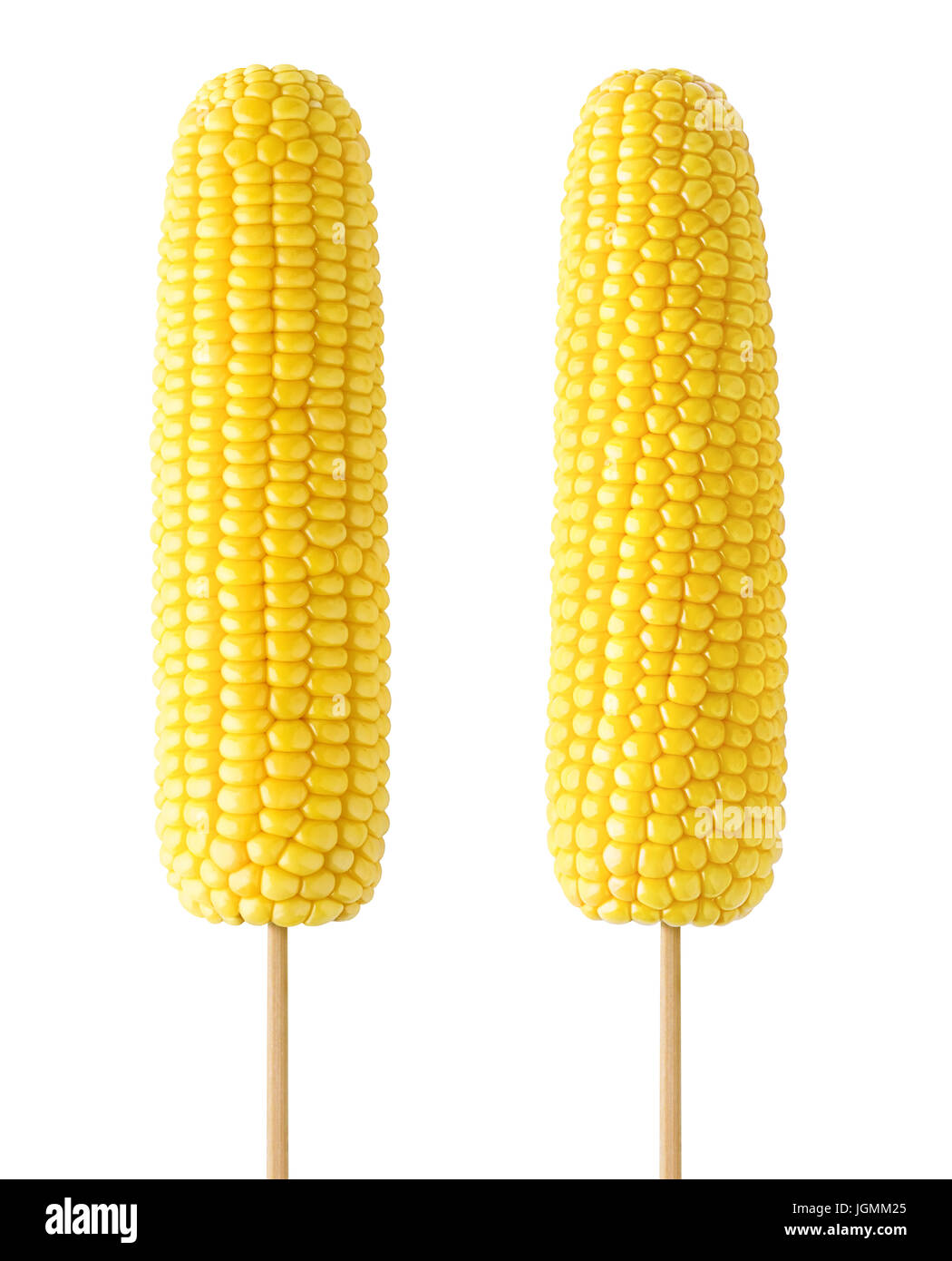 Isolated corns. Two cooked sweet corns on wooden sticks isolated on ...