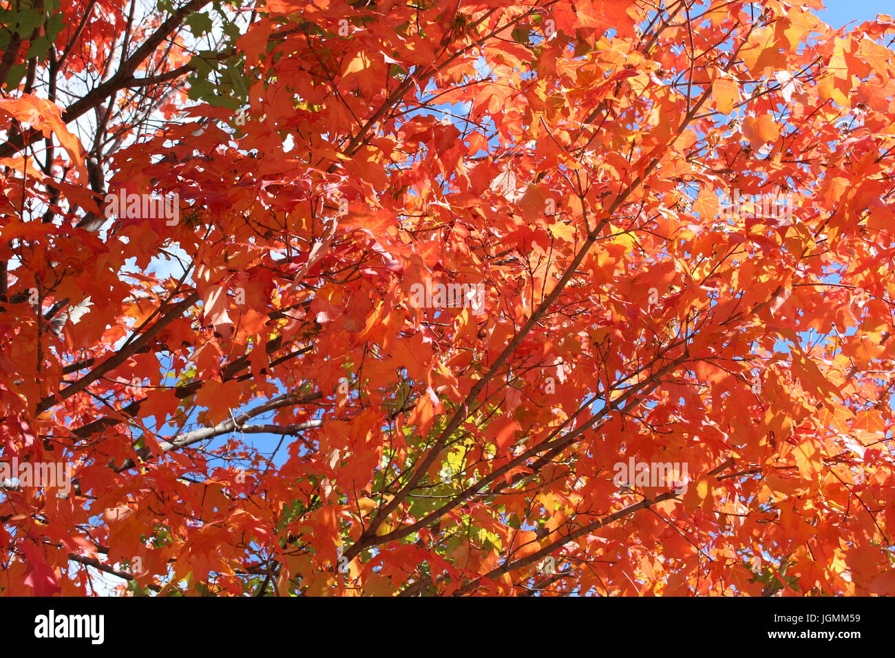 Bring spring hi-res stock photography and images - Alamy