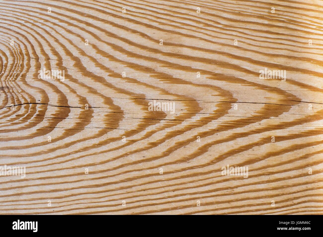 Wood texture of pine-tree Stock Photo - Alamy