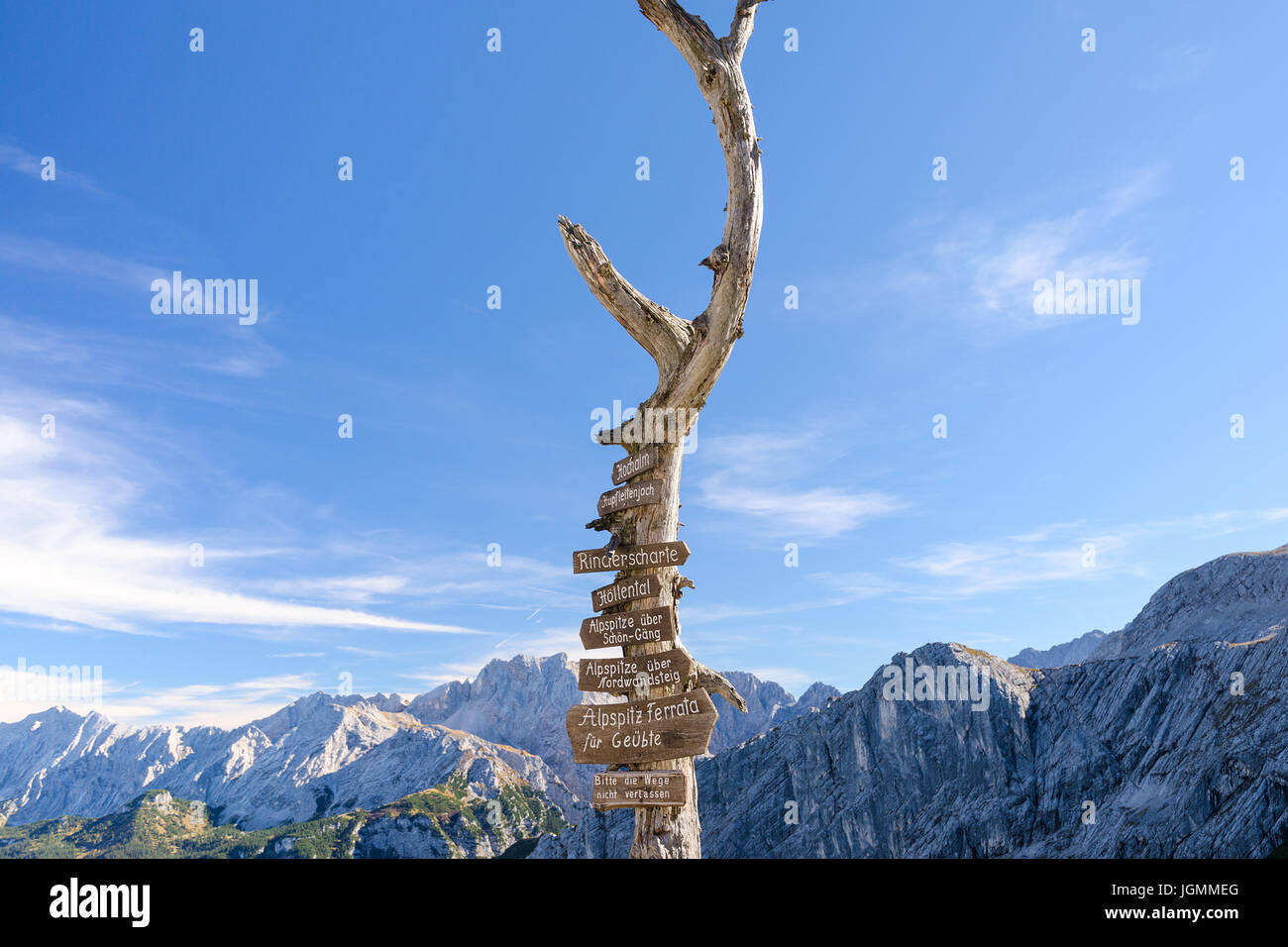 Wooden signpost with route arrows on dry tree in German Bavarian Alps ...