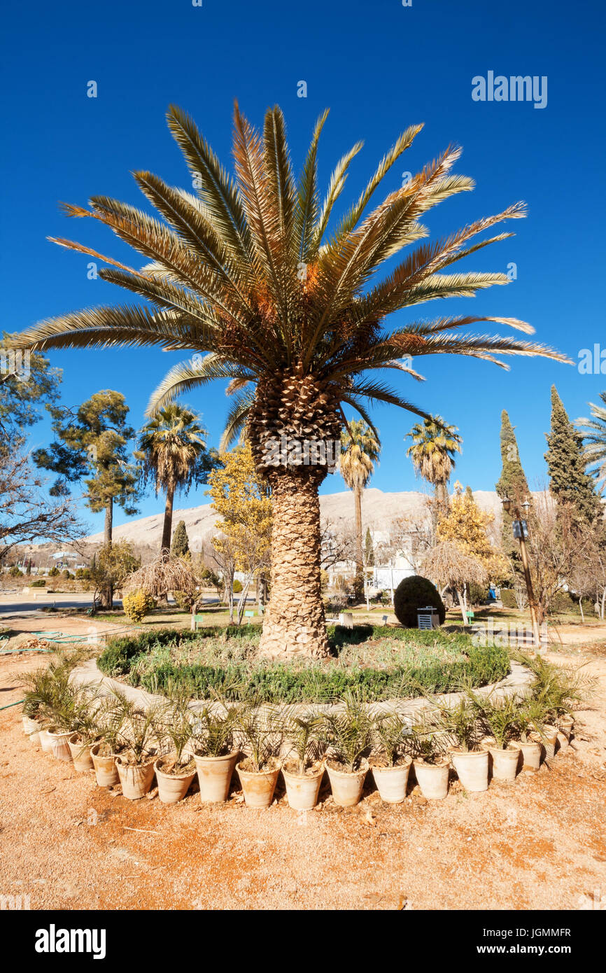 Eram garden, or Bagh-e Eram (Garden of Paradise) is a large garden with ...