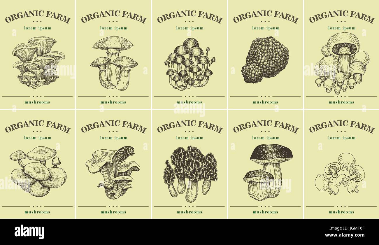 Labels with various Mushrooms. Set templates price tags for shops and ...