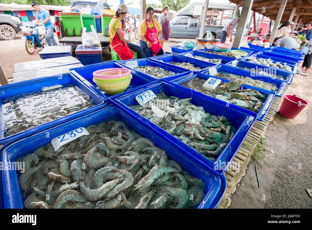 Fresh fish market in Thailand Stock Photo - Alamy