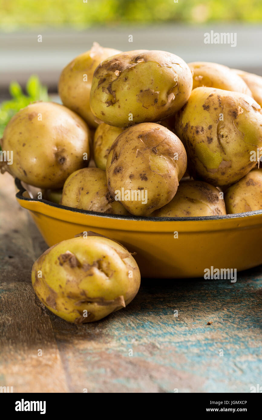 New harvest, fresh potatoes, ready to cook, close up Stock Photo - Alamy