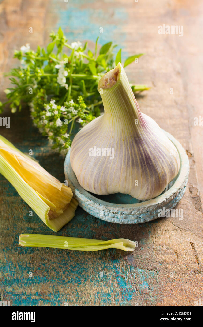 One big fresh garlic bulb, close up Stock Photo - Alamy
