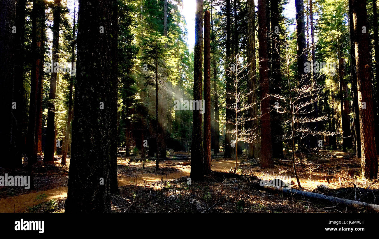 Big beams hi-res stock photography and images - Alamy