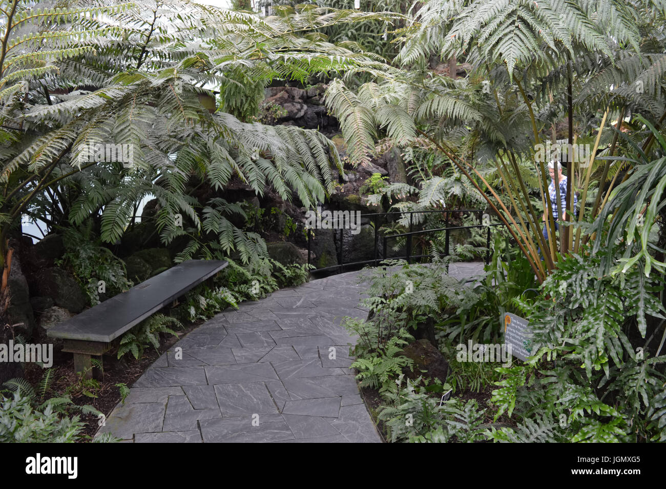 Tropical garden path hi-res stock photography and images - Alamy