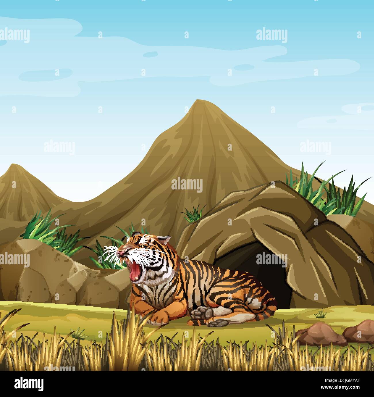 Wild tiger in front of cave illustration Stock Vector Image & Art - Alamy