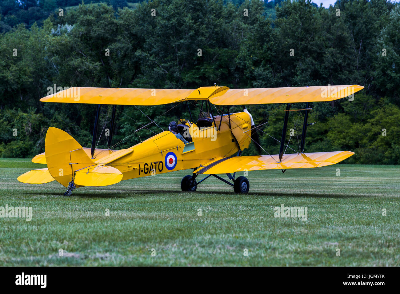 Yellow biplane Tiger Moth I-GATO replica from first world war on a ...