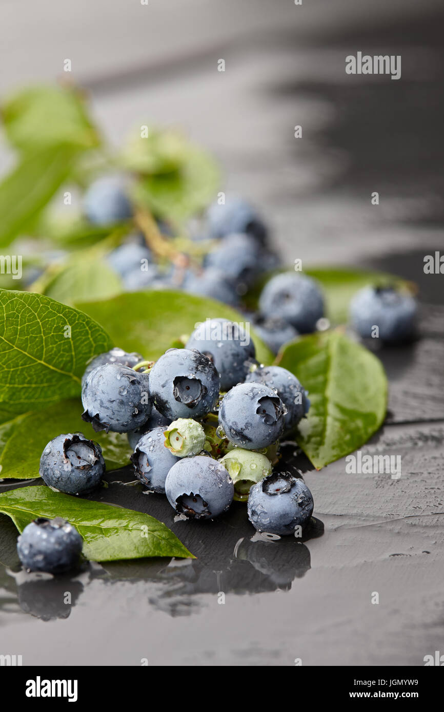 Blueberry branch close up on stone background Stock Photo - Alamy