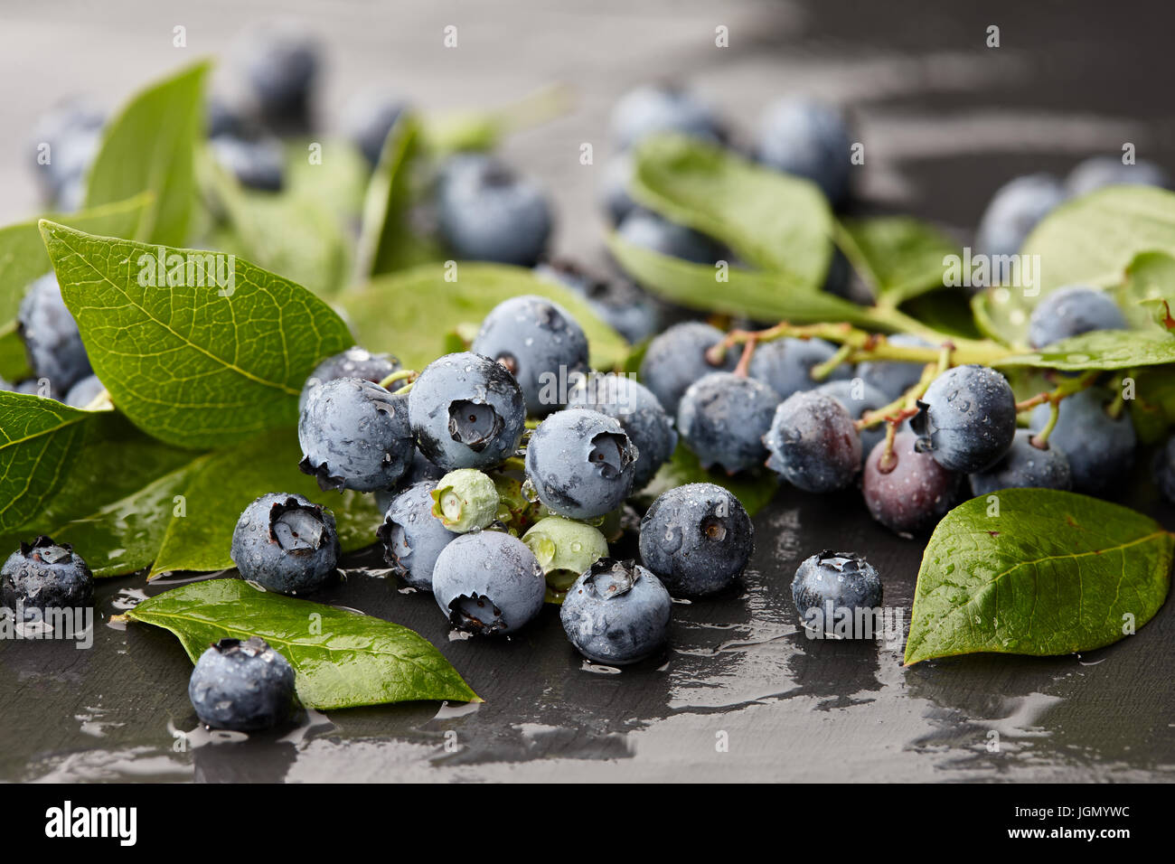 Blueberry branch close up on stone background Stock Photo - Alamy