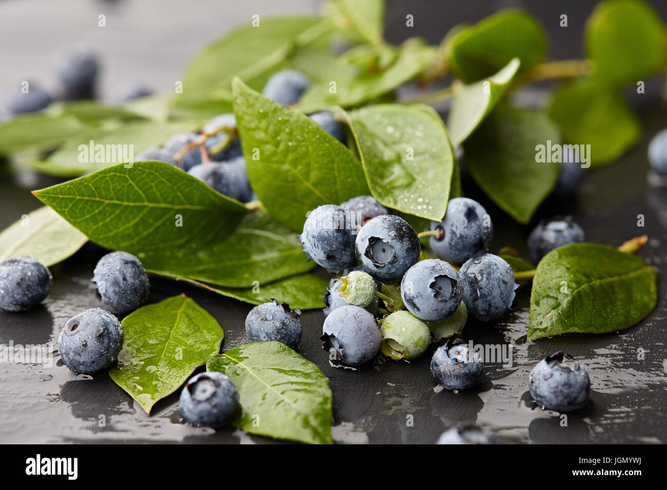 Blueberry branch close up on stone background Stock Photo - Alamy