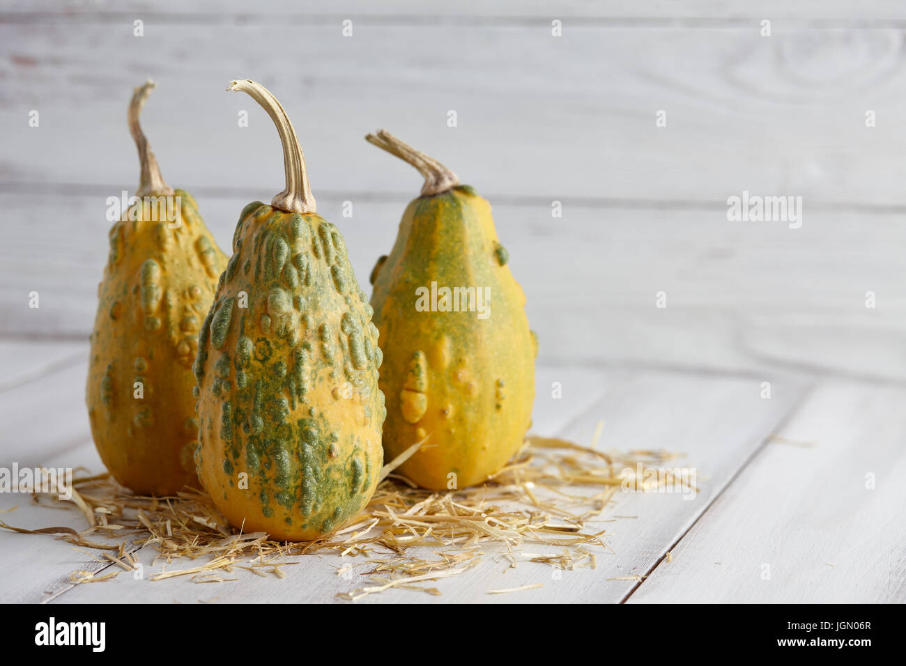 Warty pumpkin hi-res stock photography and images - Alamy