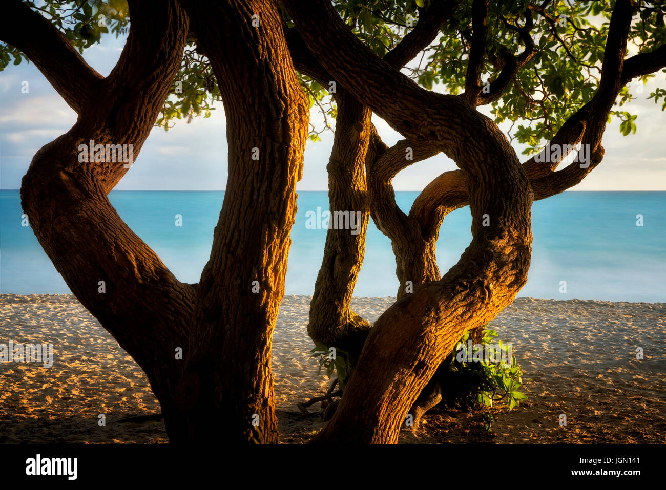 Kalama beach park oahu hi-res stock photography and images - Alamy