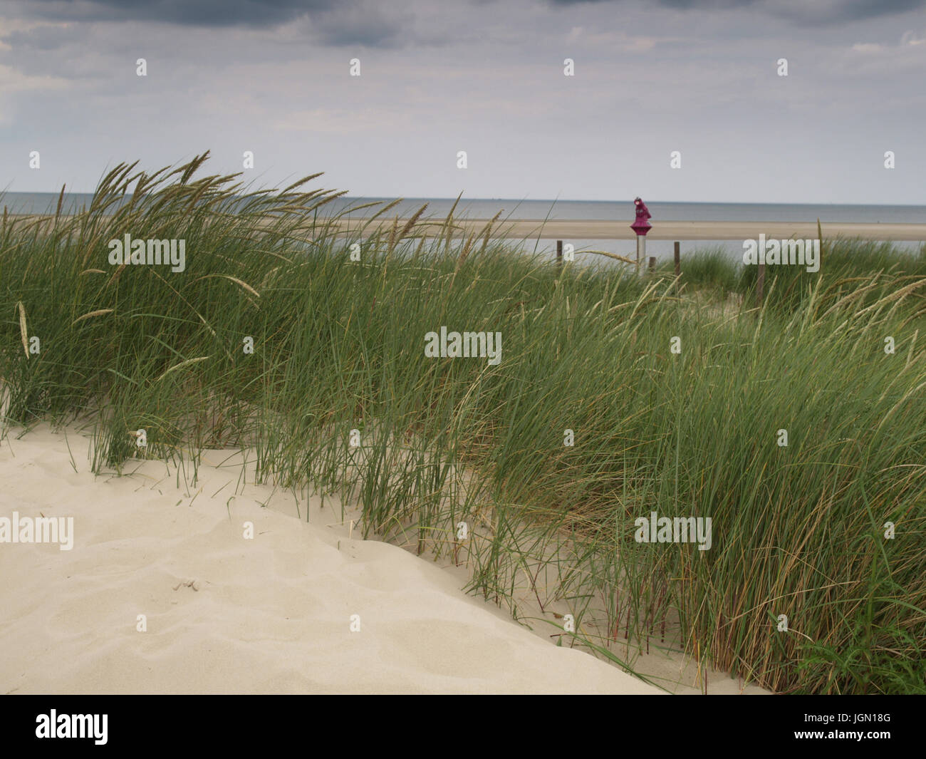 Beach of Langeoog Stock Photo - Alamy