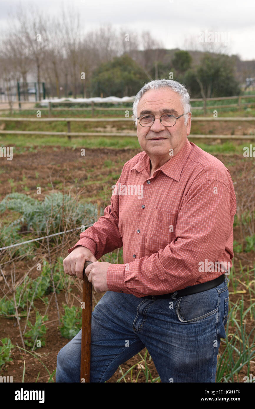 portrait of a retired man in his vegetable garden Stock Photo - Alamy