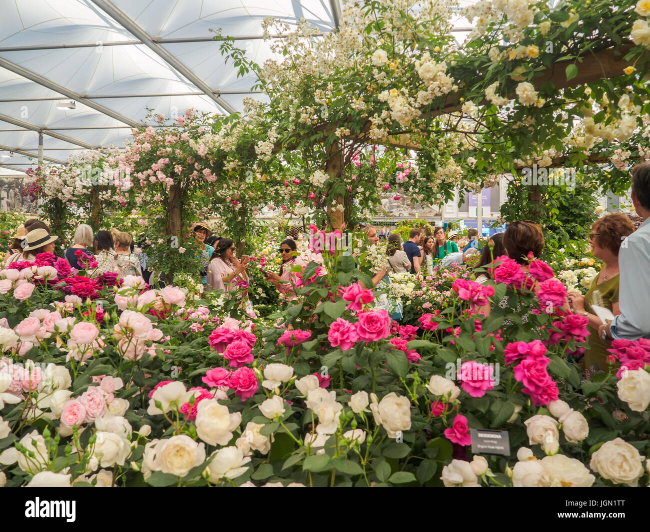 Observing flowers hi-res stock photography and images - Alamy