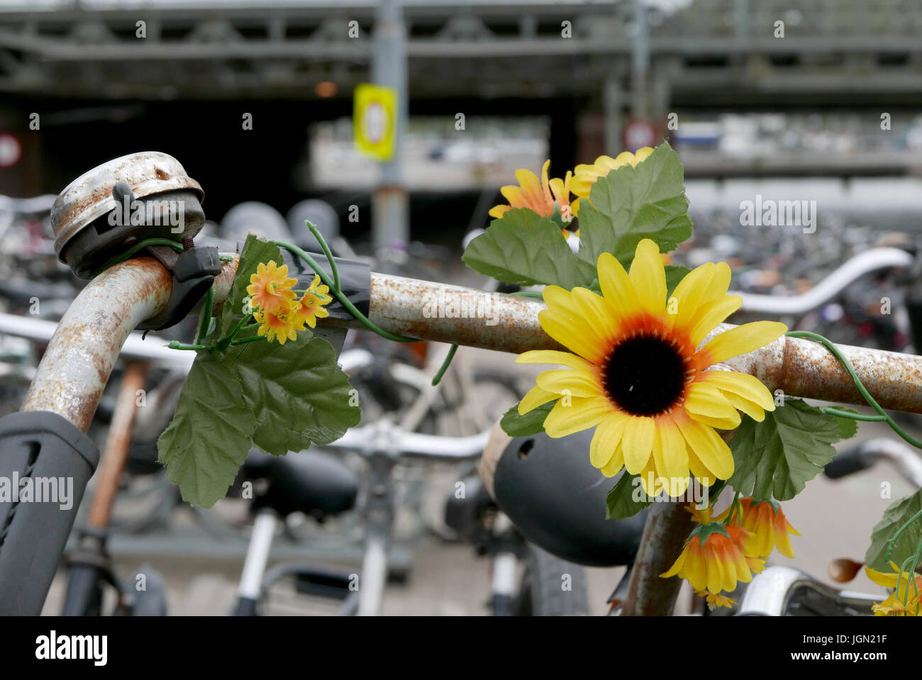 BICYCLE AMSTERDAM HOLLAND EUROPE Stock Photo - Alamy
