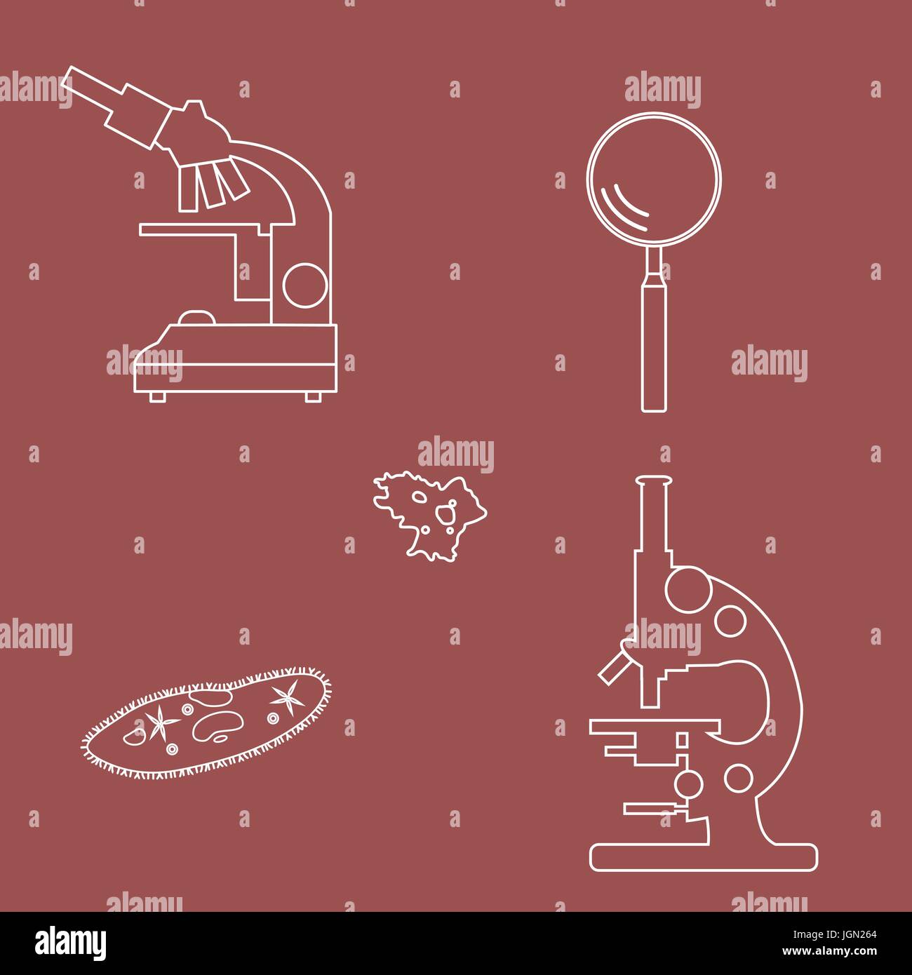 Stylized Icons Of Microscopes Magnifier Amoeba Ciliate Slipper Magnifying Device Sign