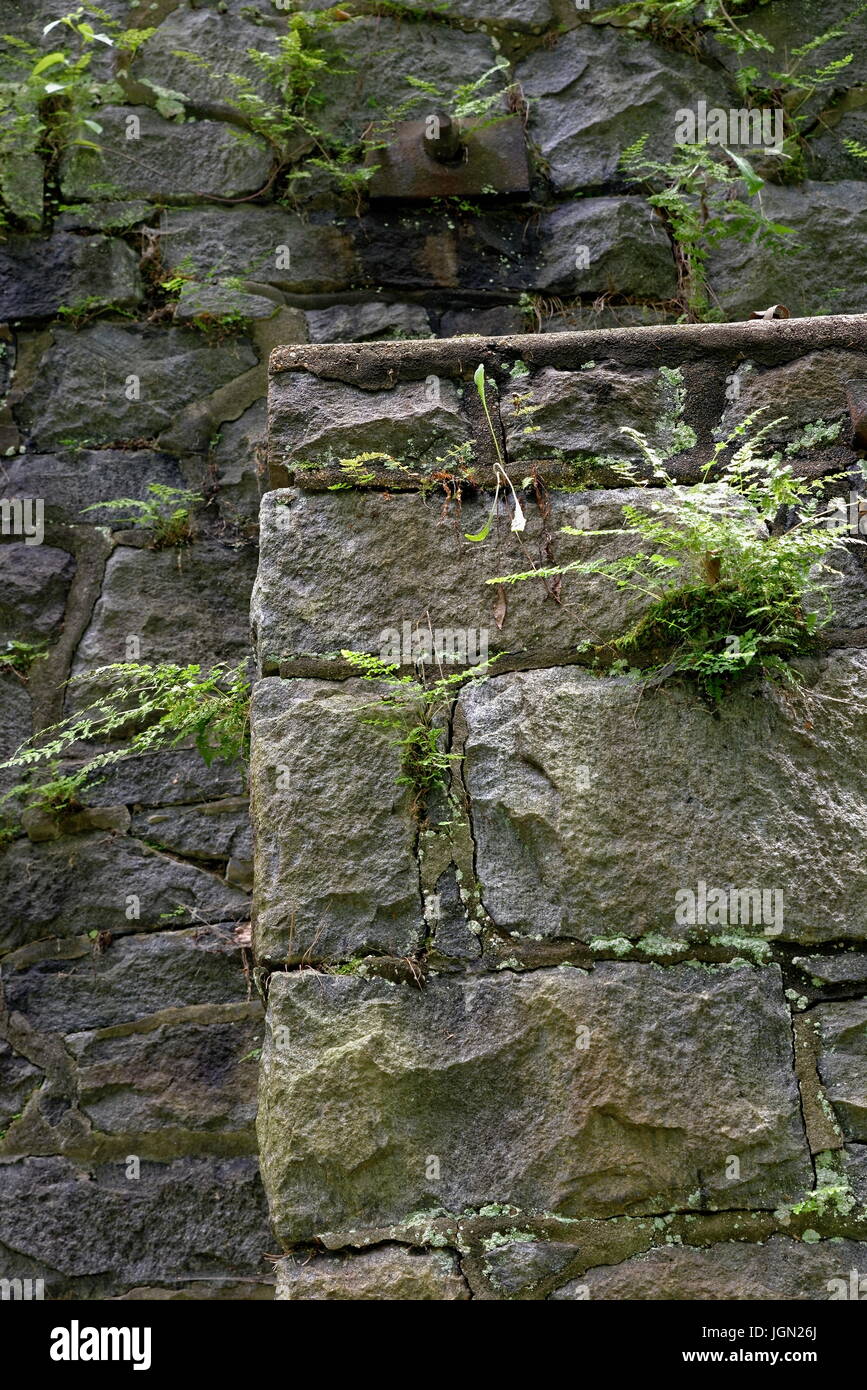 Gunpowder yard hi-res stock photography and images - Alamy