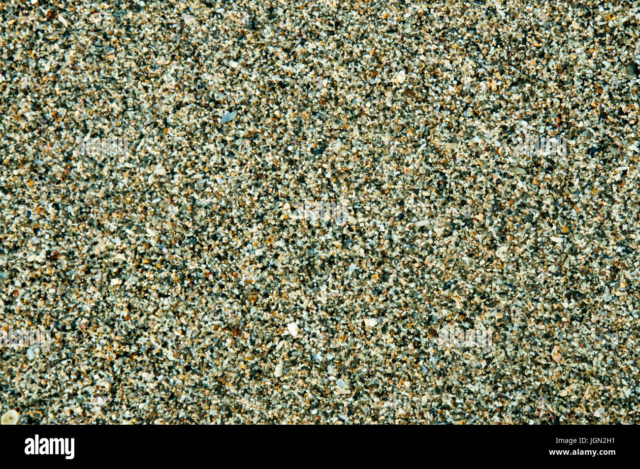 Wet gray sand close-up, wallpaper, background, grains of sand Stock ...