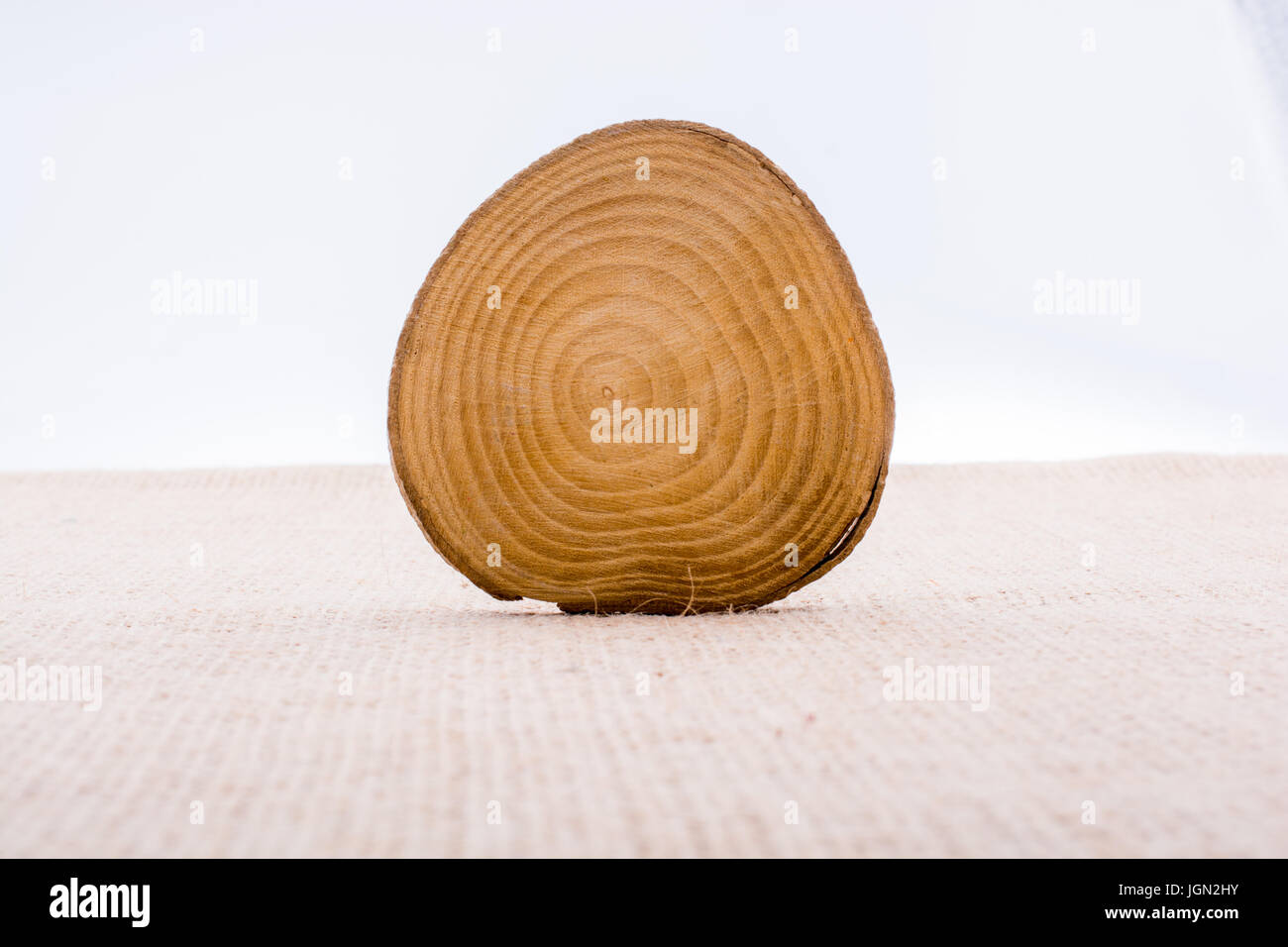small piece of cut wood logs used for wood texture background Stock ...
