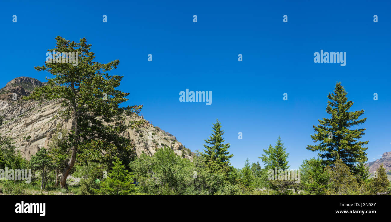 Carter mountain hi-res stock photography and images - Alamy