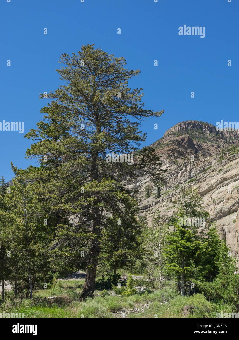 Cody Wyoming High Resolution Stock Photography and Images - Alamy