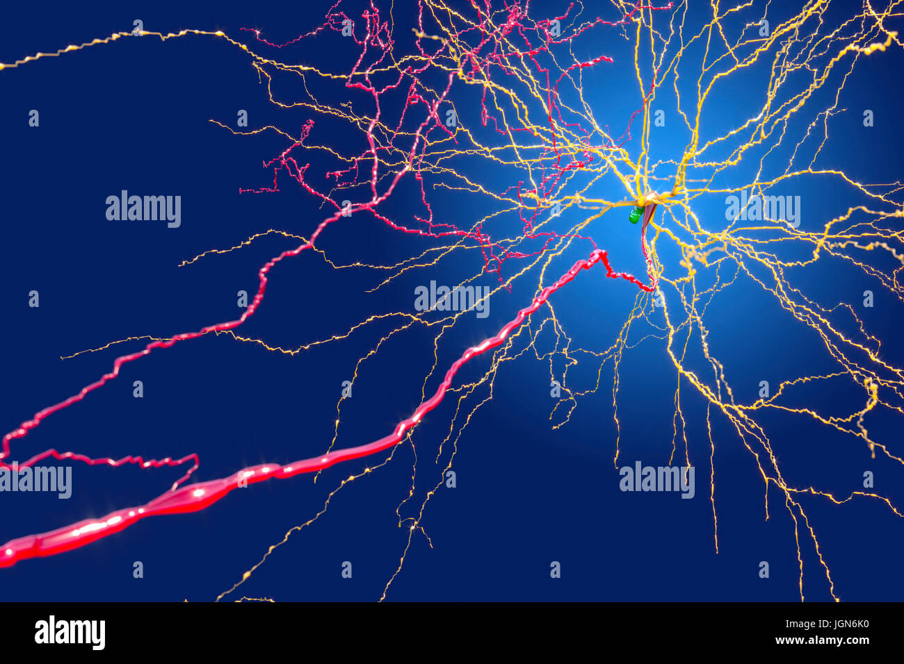 Nerve cells, illustration Stock Photo - Alamy