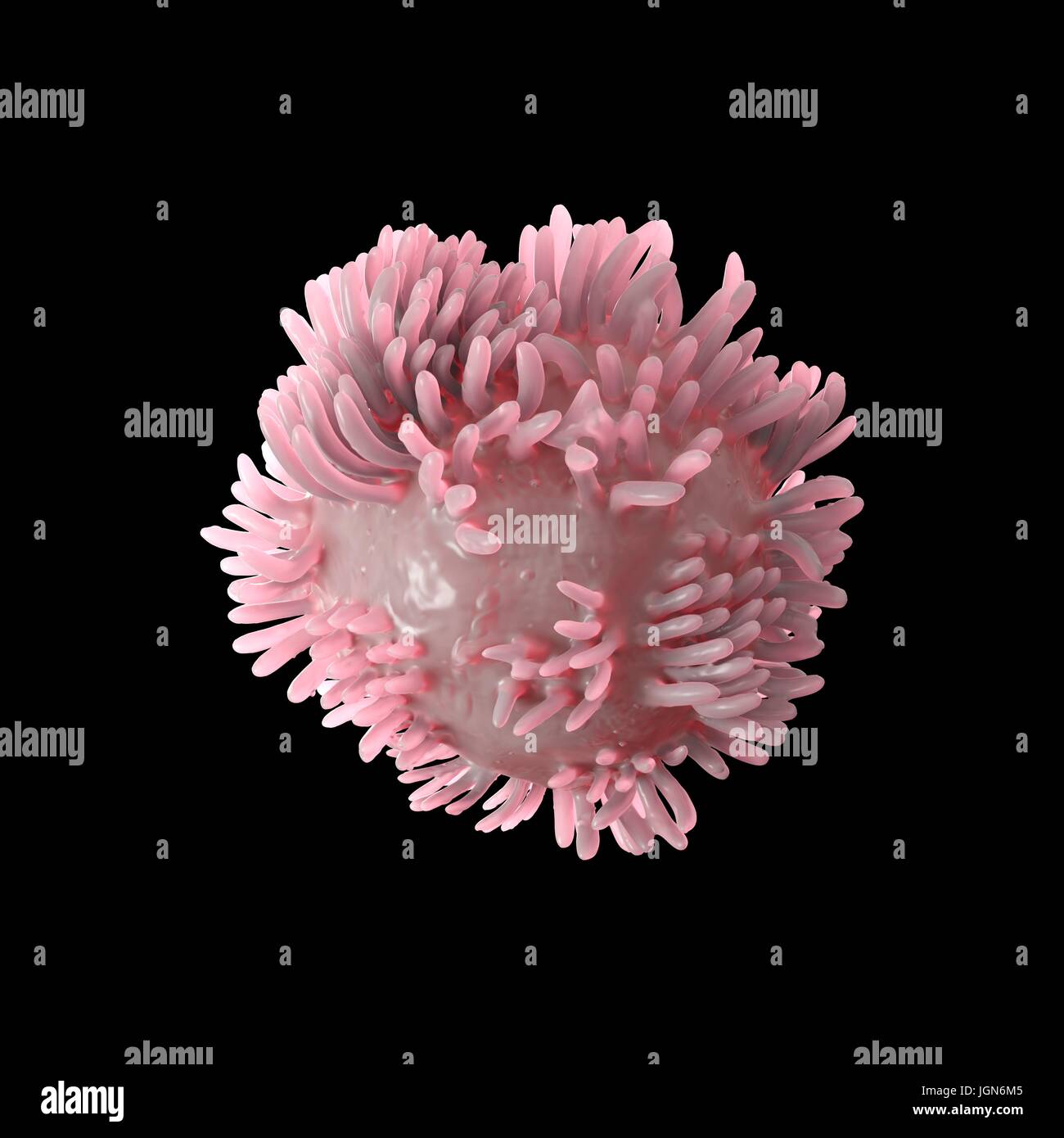 Colorectal cancer hi-res stock photography and images - Alamy