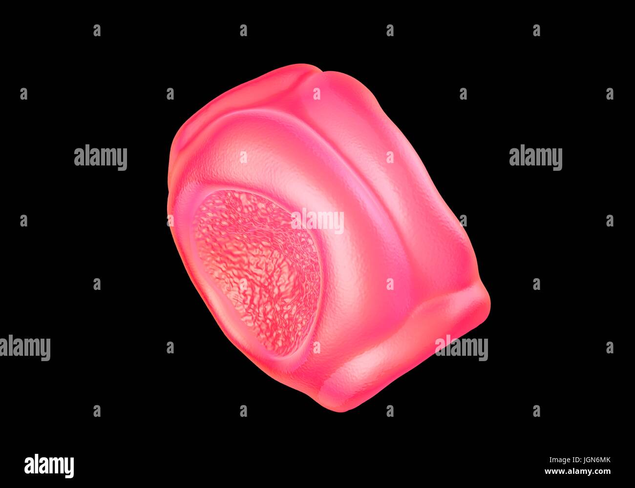 Periwinkle medicine hi-res stock photography and images - Alamy