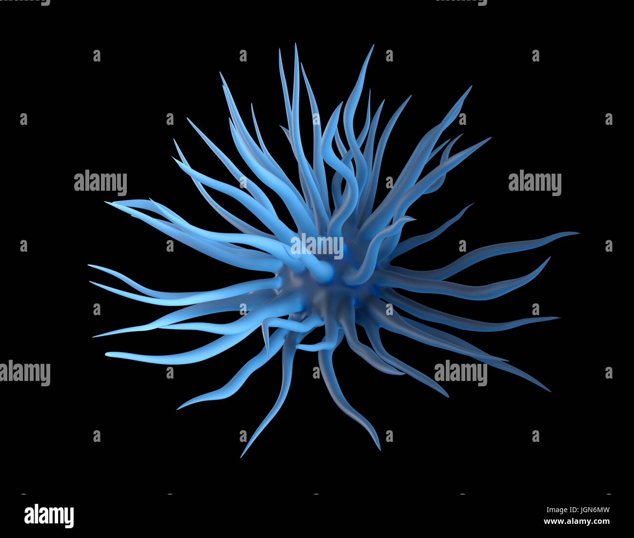 Trichome hi-res stock photography and images - Alamy