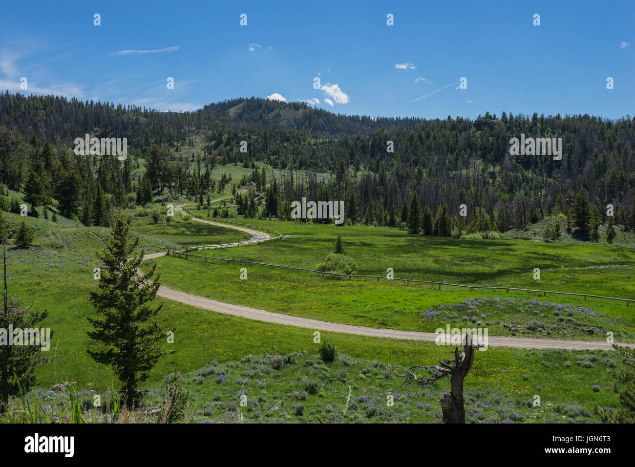 Rocky trail winding through hi-res stock photography and images - Alamy