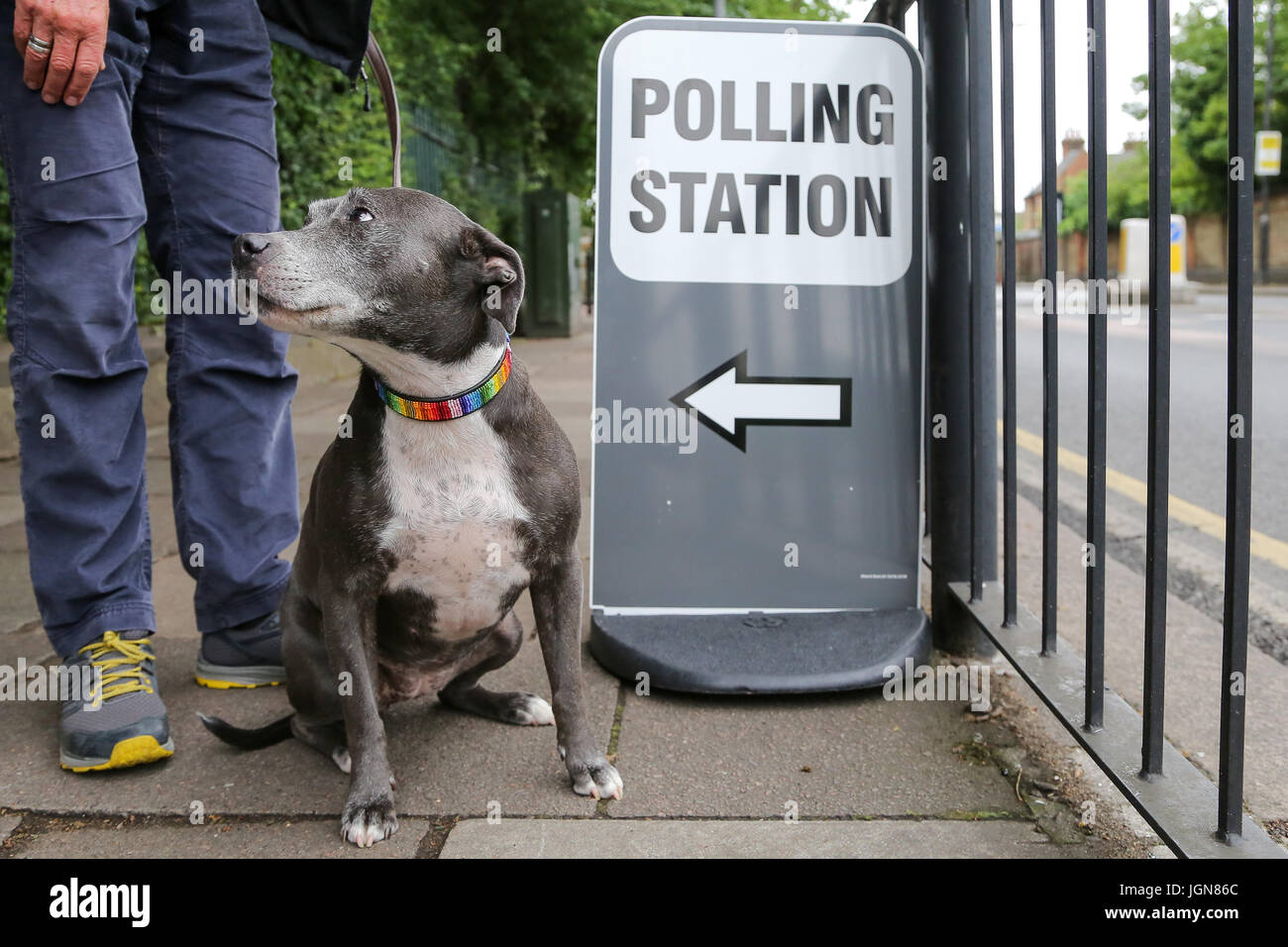 Voters arrive at a polling station in Chestnuts Primary School in ...