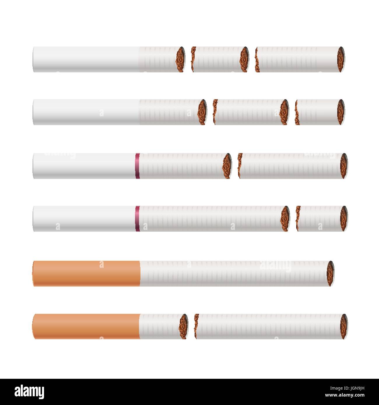 Broken Cigarettes Vector. Smoking Kills. Medical Healthcare Quit ...