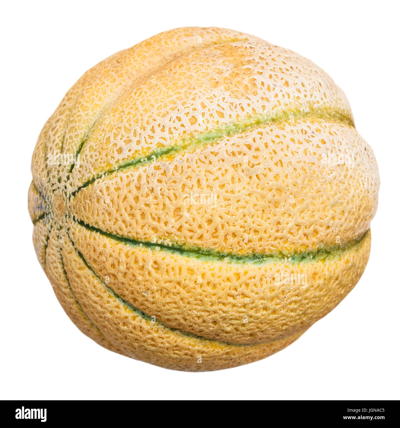 ripe sicilian muskmelon (cantaloupe melon) isolated on white background ...