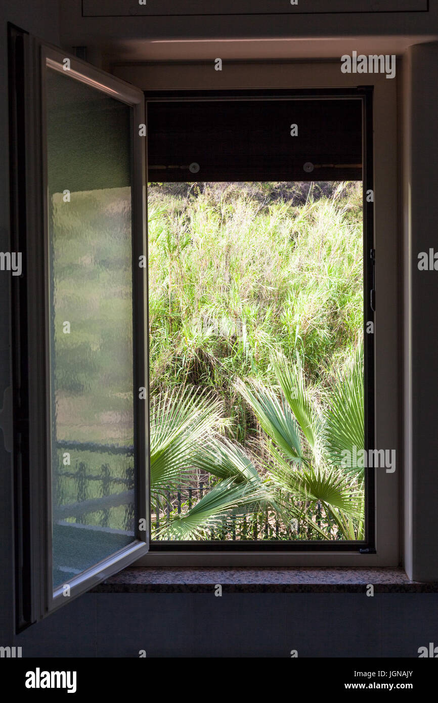 view of green backyard from open home window in sunny summer day in ...