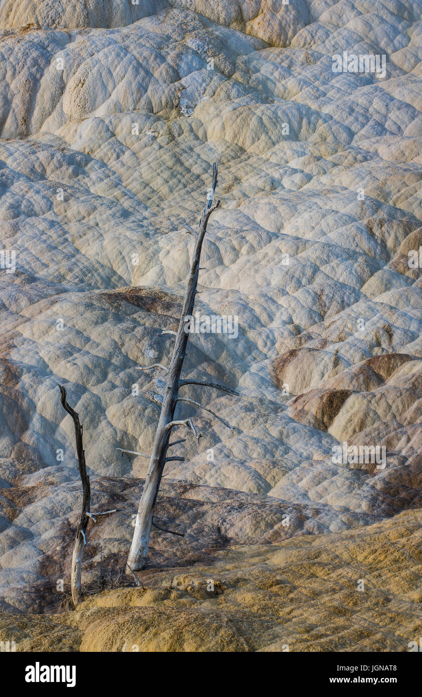 Travertine rock formations, Mammoth Hot Springs, Yellowstone National ...