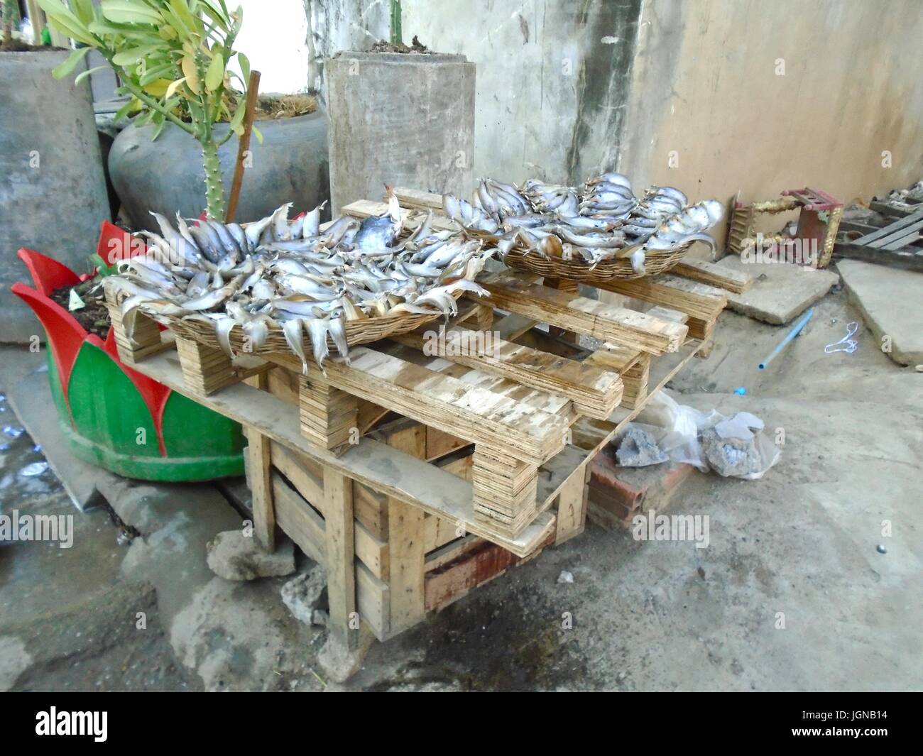 Fish Market with Wood Pallets at Open Air Market Poipet Cambodia ...