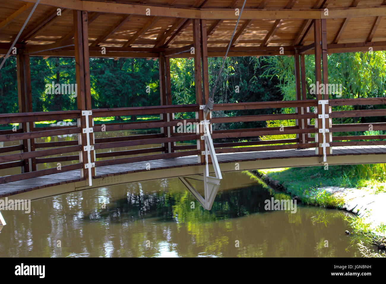 Wooden bridge in the swamp Stock Photo - Alamy