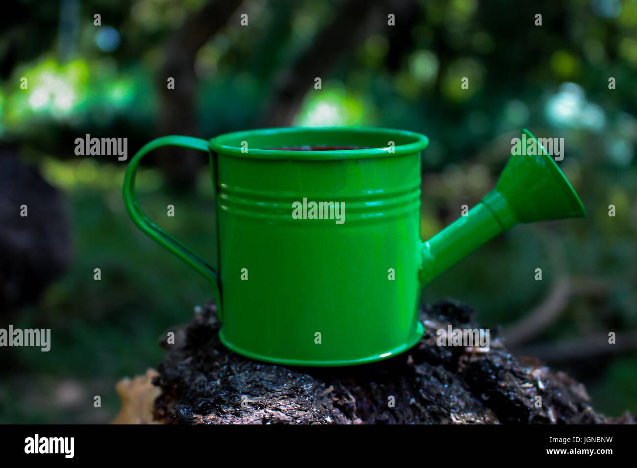 A small green watering can Stock Photo - Alamy