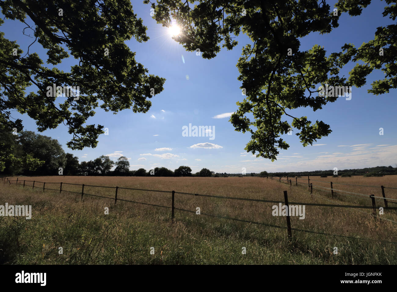 Chessington, Surrey, UK. 8th July, 2017. The sun shines through the ...