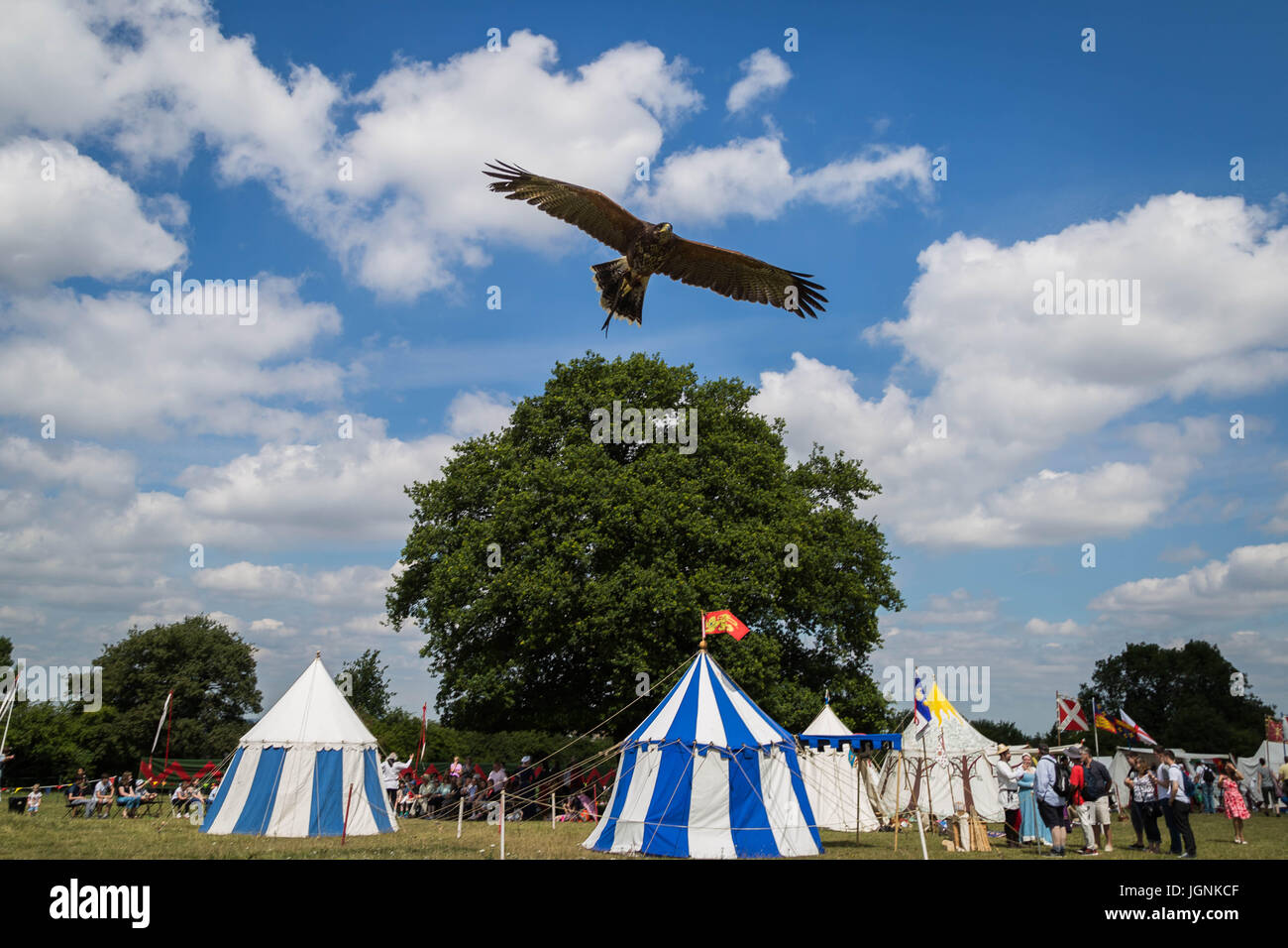 Medieval falconry hi-res stock photography and images - Alamy