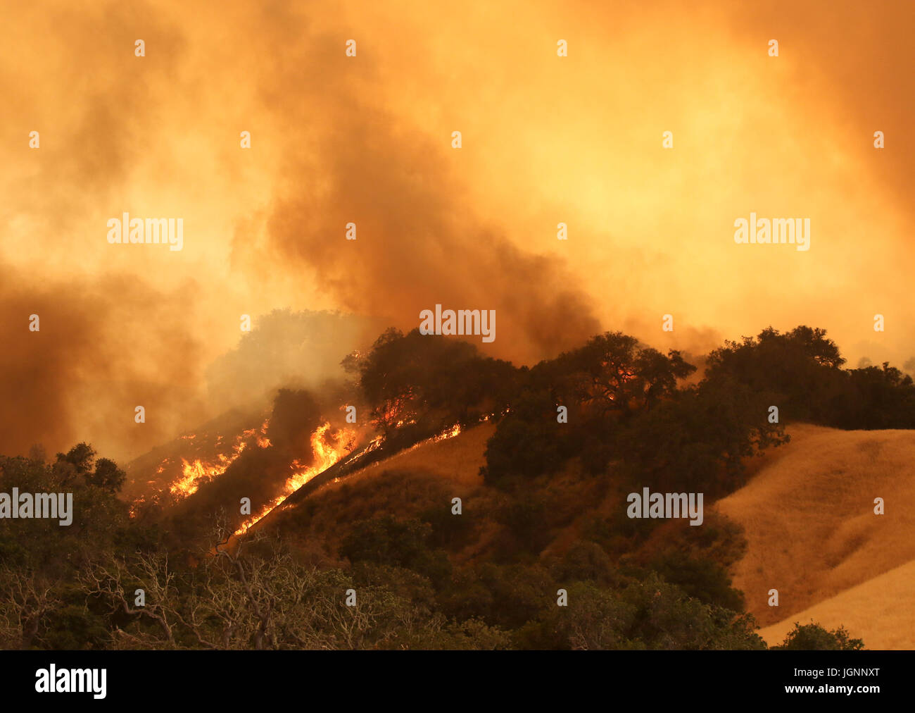 Daniel dreifuss hi-res stock photography and images - Alamy